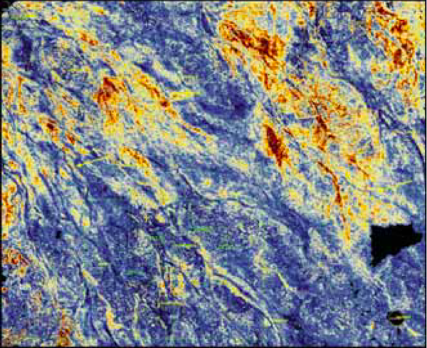 Central North Sea: regional dataset supports continued exploration ...