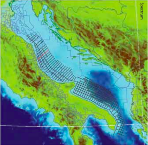Italian Adriatic Sea: Filling in the gaps in this prolific region ...