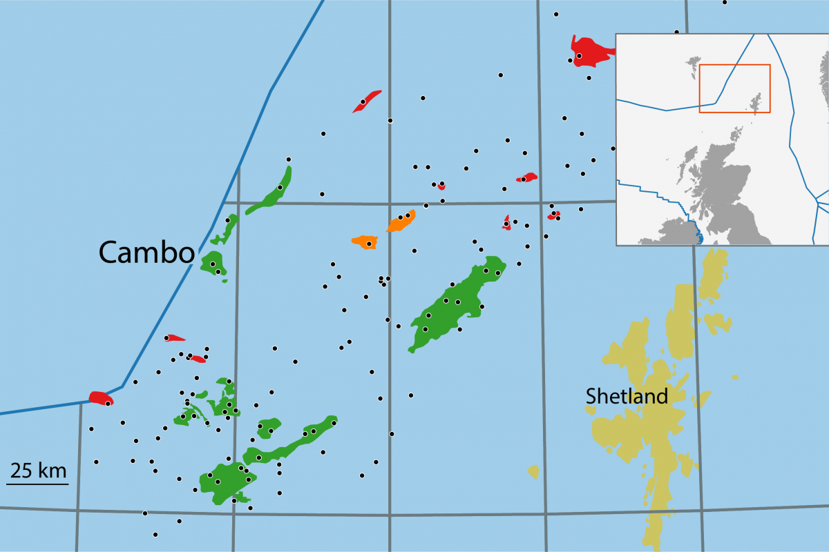 Carbonate-cemented intervals and their impact on sweep efficiency in ...