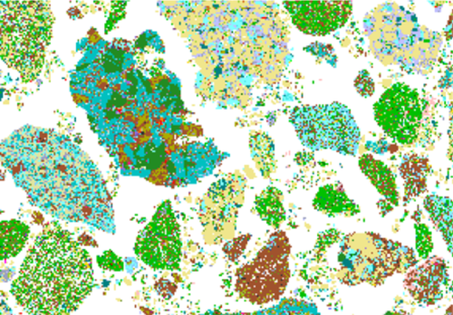 QEMSCAN – the geological QR code - GeoExpro