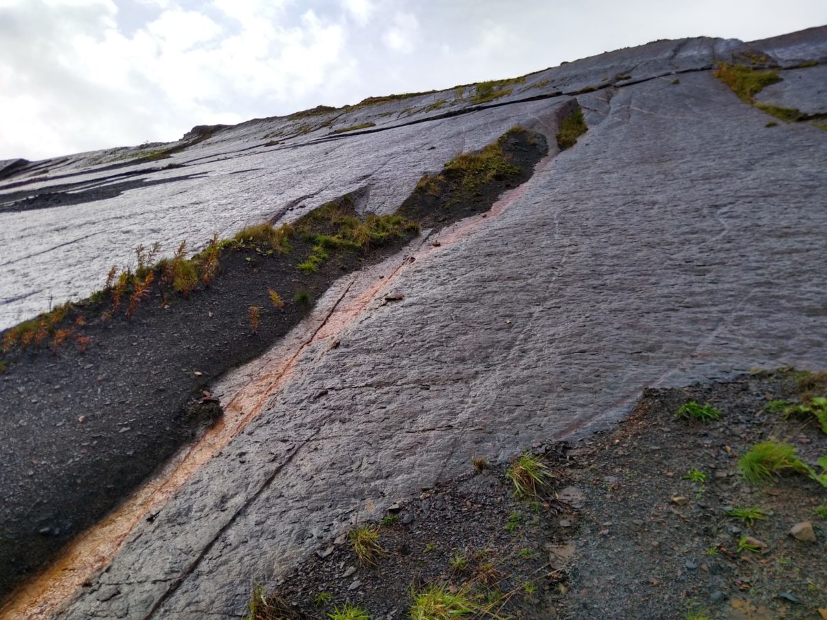 A prospect in outcrop - GeoExpro