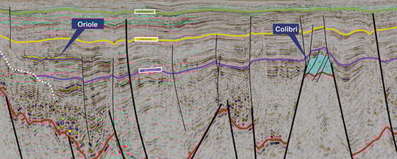 Energy Opportunity: Offshore Jamaica - GeoExpro