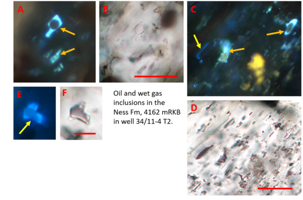 How Does Wet Gas Form? - GeoExpro