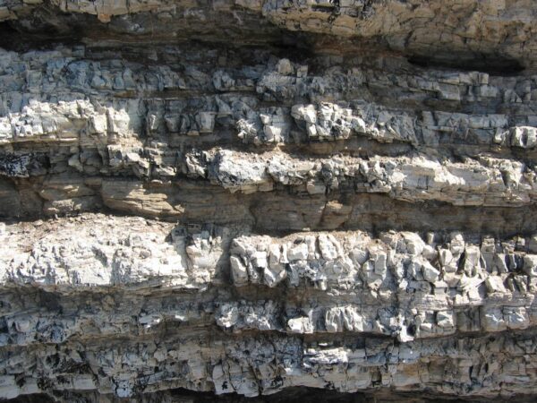 Microfossils and the World of Chalk and Chert - GeoExpro