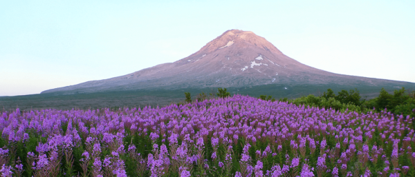 Geothermal development programs in Alaska - GeoExpro