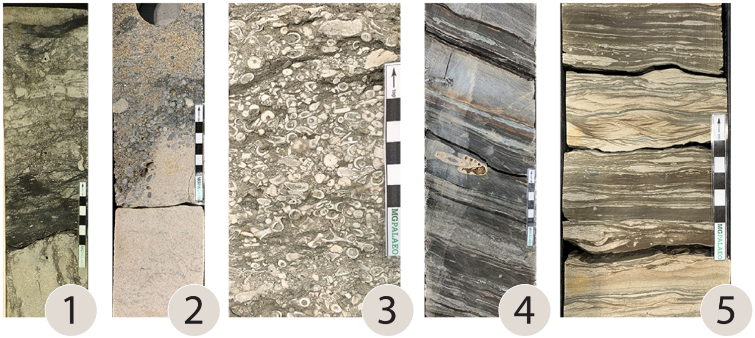 The northern Perth Basin in a nutshell - GeoExpro
