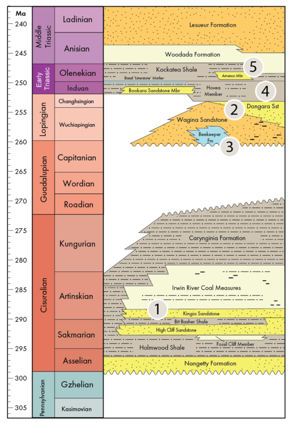 The northern Perth Basin in a nutshell - GeoExpro