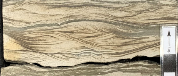 The northern Perth Basin in a nutshell - GeoExpro