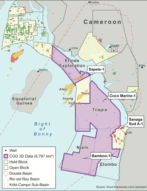 Cameroon: Douala Kribi-Campo Basin – Seize the opportunity! - GeoExpro