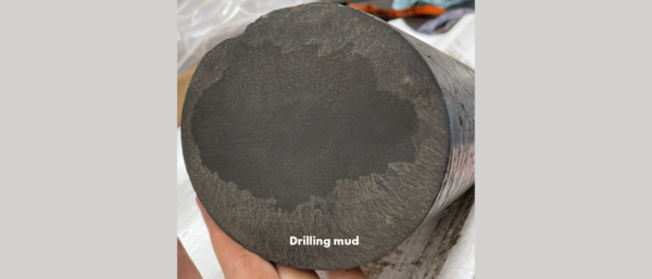 Analysing a hydraulically fractured horizontal core to assess refrac ...